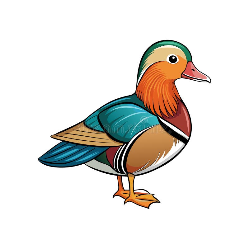 Stunning Mandarin Duck Design Stock Photo - Illustration of back ...