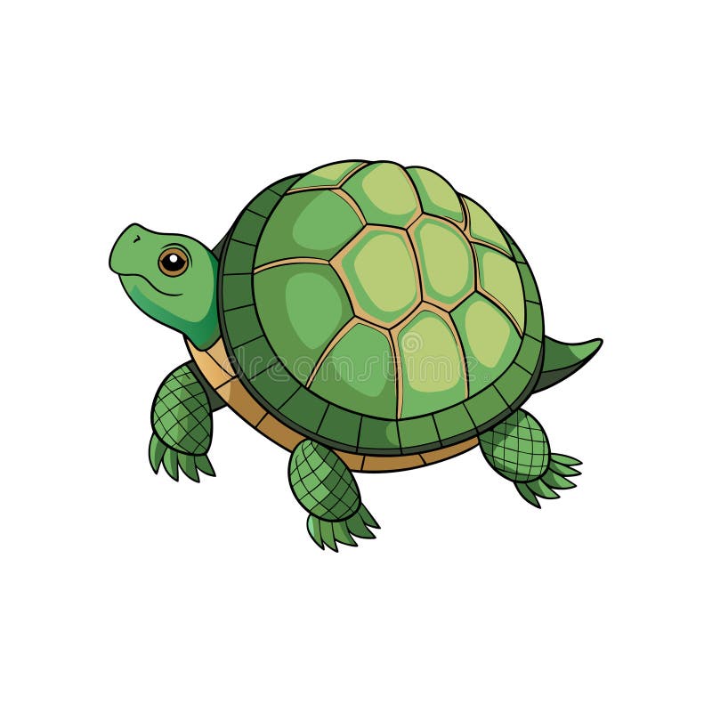 Stunning Map Turtle in Its Habitat Stock Illustration - Illustration of ...