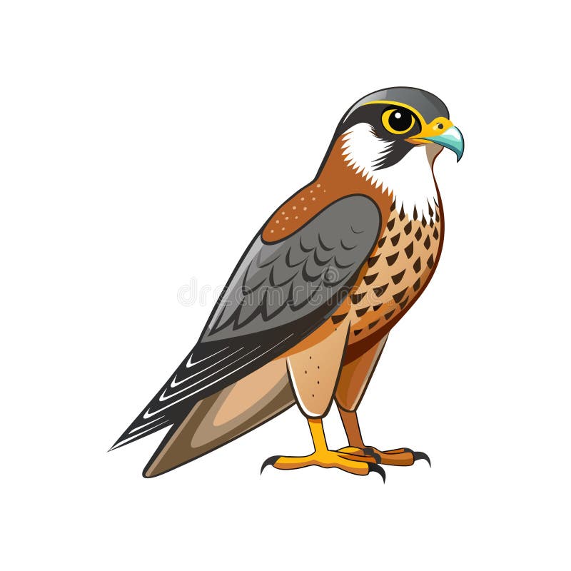 Stunning Merlin Bird Illustration Stock Photo - Illustration of design ...