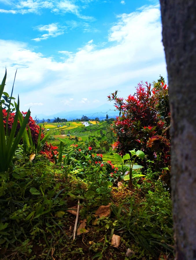 Stunning natural scenery stock image. Image of nature - 269080987