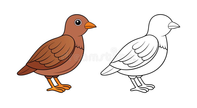 Stunning Corncrake Nature Illustration Stock Illustration ...