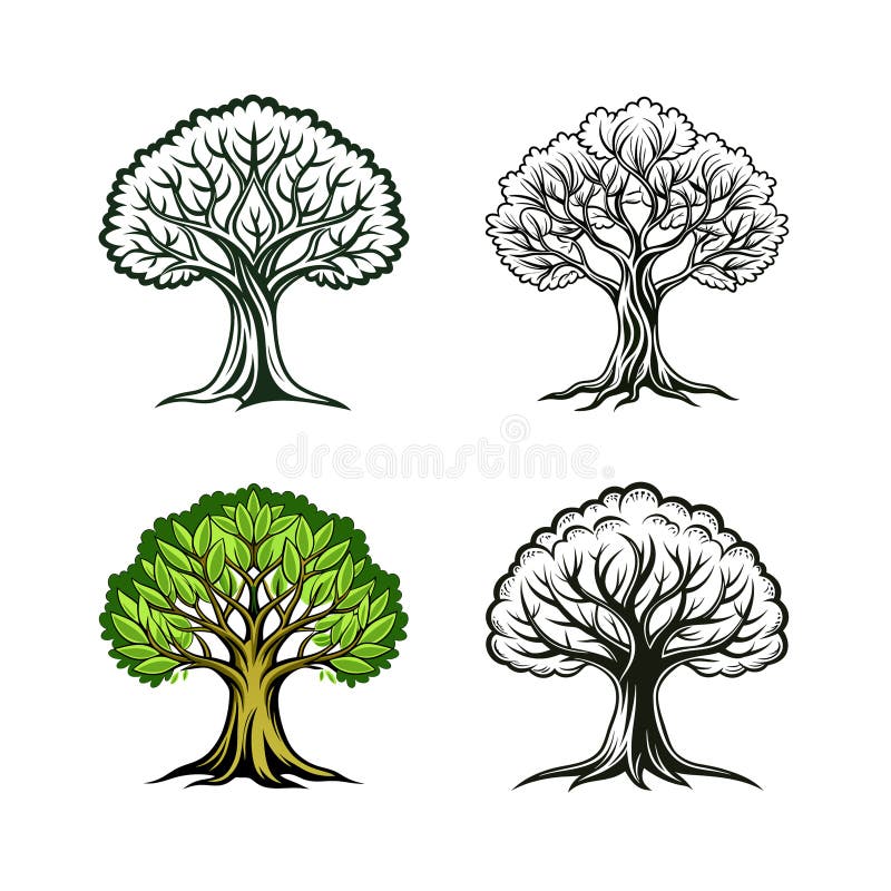 Stunning Olive Tree Artwork with Bold Outline Stock Vector ...