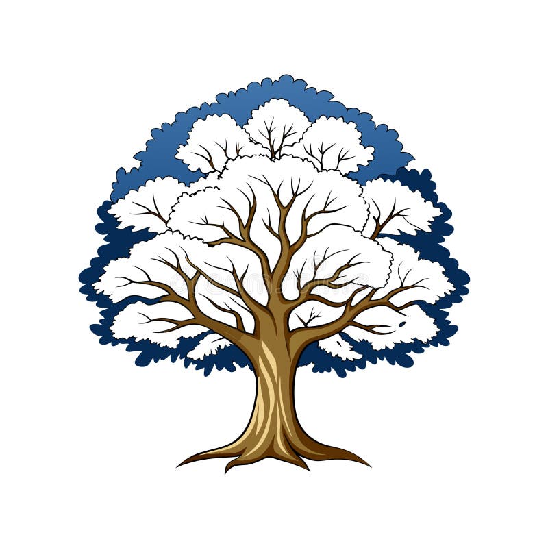 Stunning Outline of White Ash Tree Stock Illustration - Illustration of ...