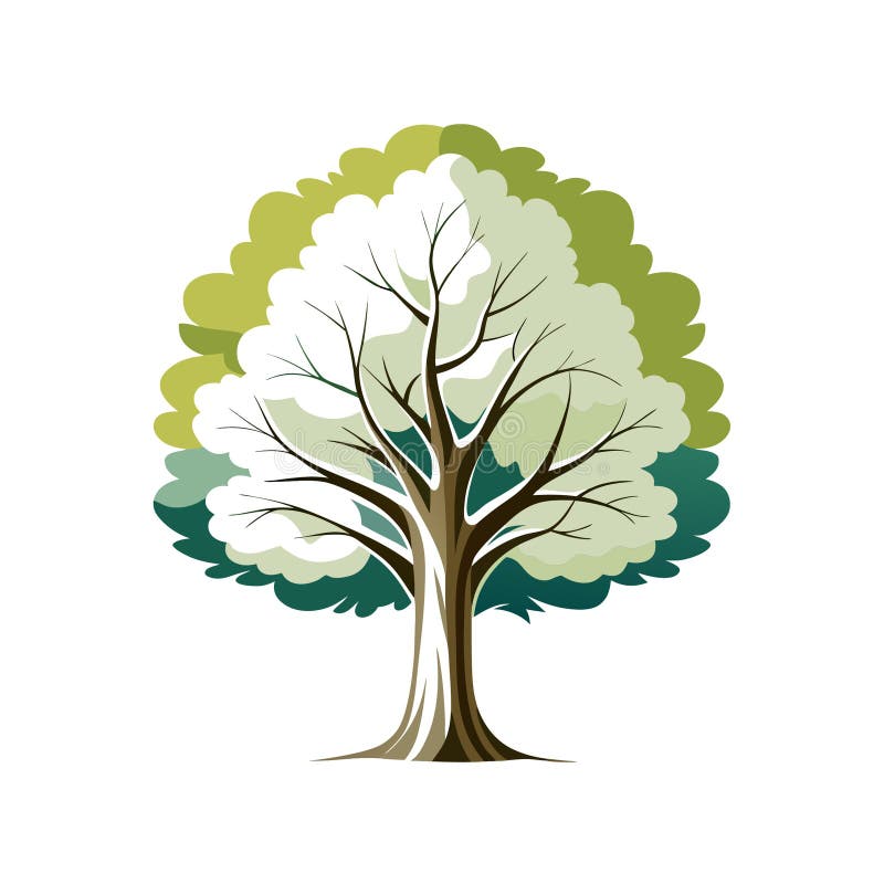 Stunning Outline of White Poplar Tree Stock Illustration - Illustration ...