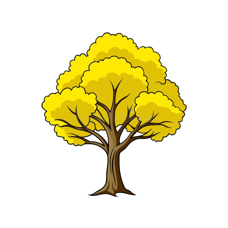 Stunning Outline of Yellow Poplar Tree Stock Illustration ...