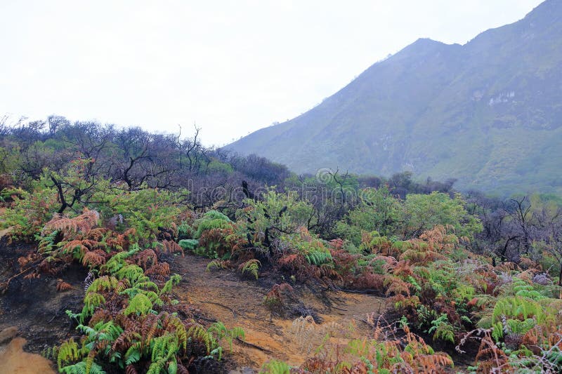 Stunning Panoramic View of the Ijen Volcano Complex with Mountains ...