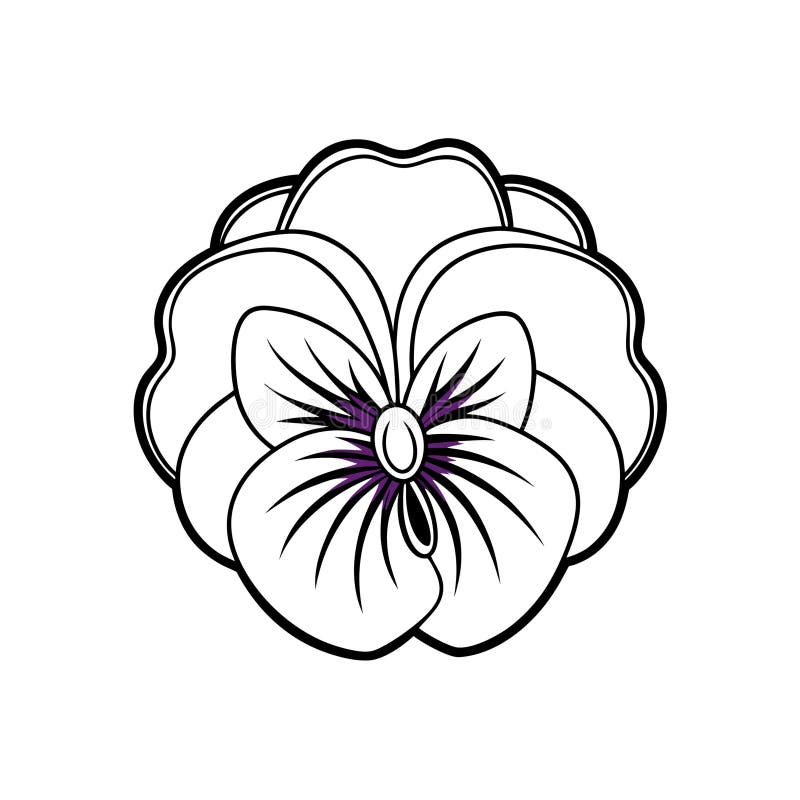 Stunning Pansy Flower Top Illustration with Bold Outline Stock Photo ...