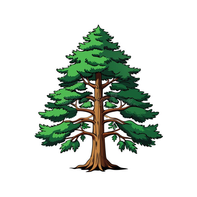 Stunning Ponderosa Pine Tree Design Stock Illustration - Illustration ...