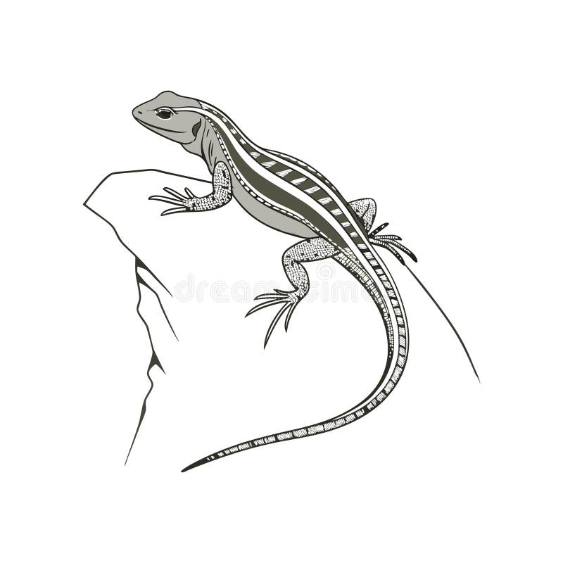 Stunning Sand Lizard in Its Ecosystem Stock Illustration - Illustration ...