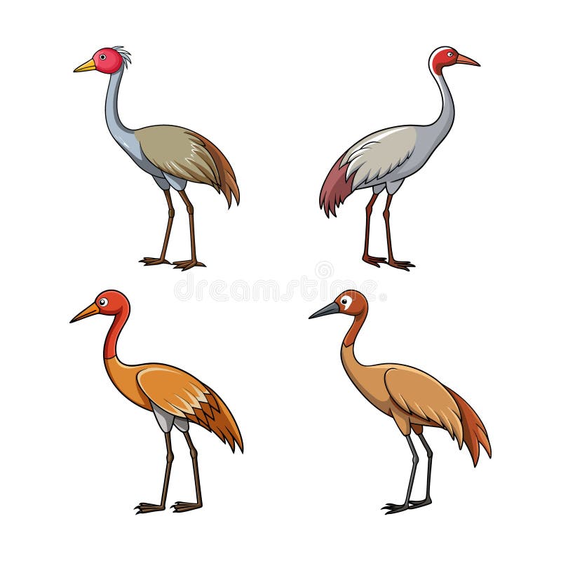 Stunning Sandhill Crane Bird Realistic Artwork Stock Vector ...