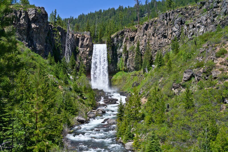 Waterfall in the Oregon Cascade Range Stock Photo - Image of mountain ...