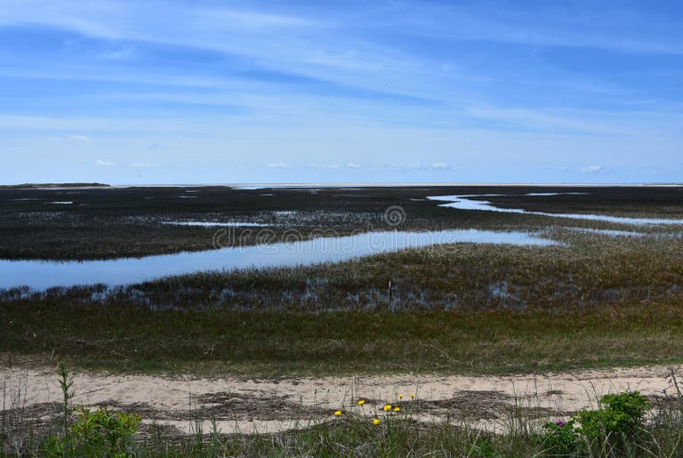 Stunning Scenic Views of Tidal Flats on the Cape Stock Image - Image of ...