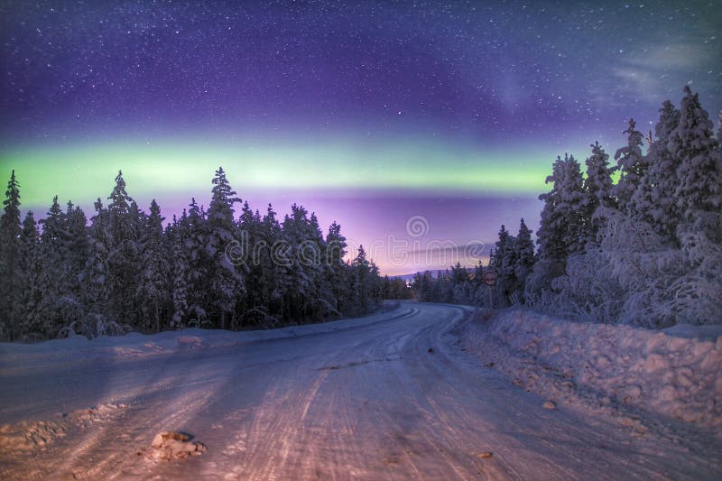 Stunning Shot of the Aurora Borealis Illuminating a Snowy Forest Stock ...