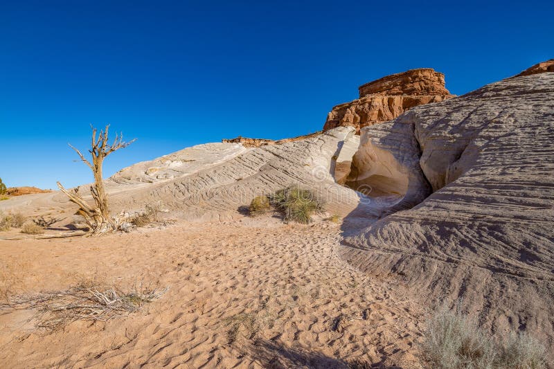 Stunning Shot of the Desert Landscape Featuring an Endless Array of ...
