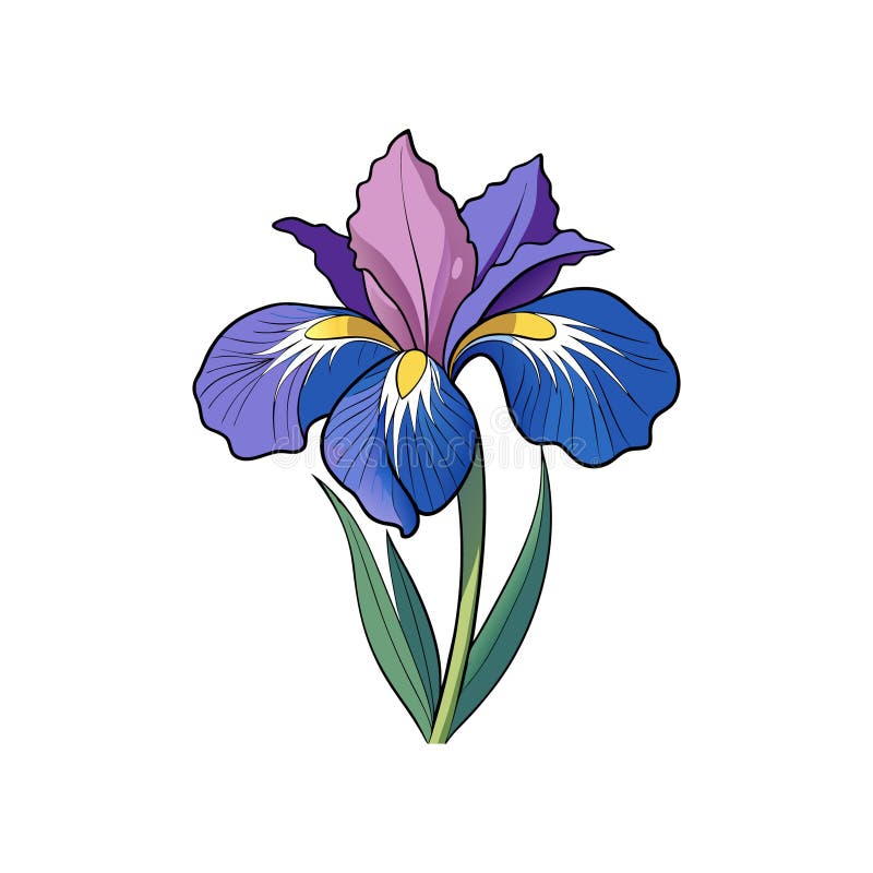 Stunning Siberian Iris Lively Design Stock Illustration - Illustration ...