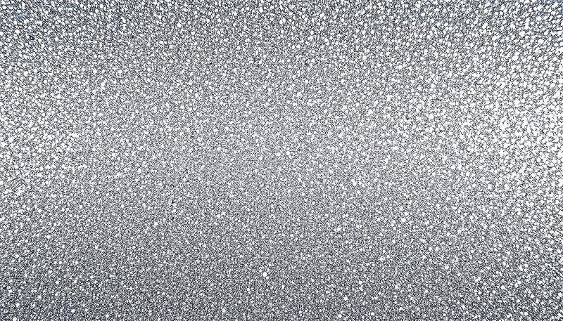 A Stunning Silver Glitter Texture Perfect for Backgrounds, Crafts ...