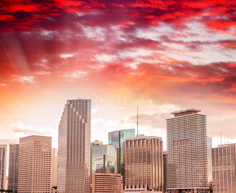Stunning Skyline of Miami, Florida Stock Image - Image of downtown ...