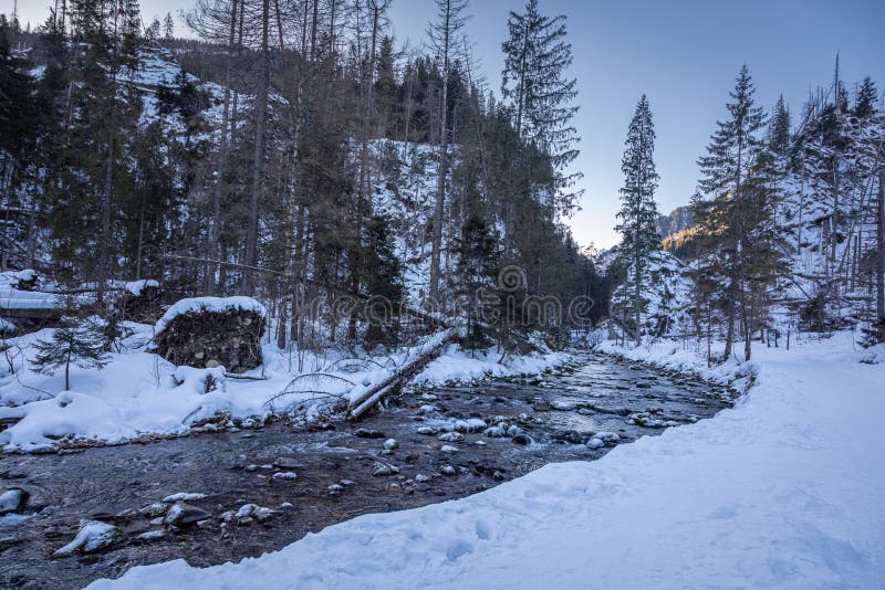 Stunning Snowy Forest and River in Koscieliska Valley in Winter Stock ...