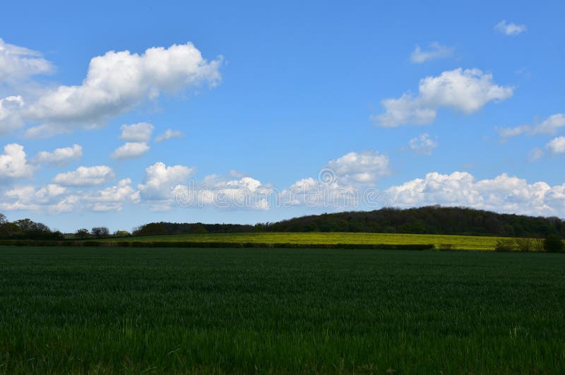 Stunning Spring Day with Fields of Crops Stock Image - Image of ...