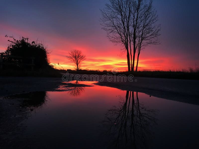 Stunning Sunrise with Trees Reflections Stock Image - Image of sunset ...