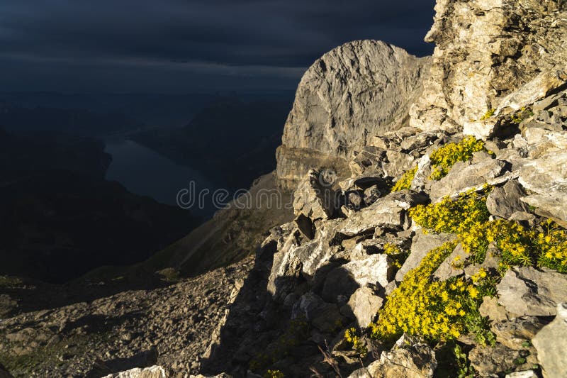 Stunning Sunset Over Gitschen in the Swiss Alps Stock Image - Image of ...