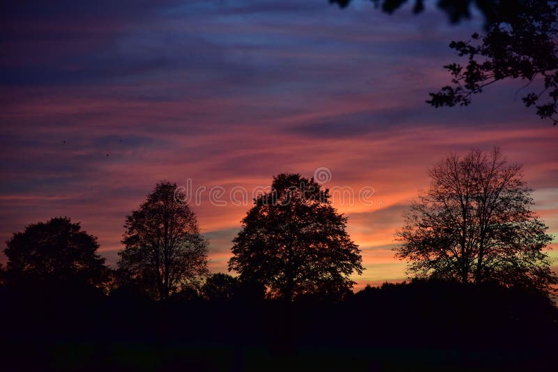 Stunning Sunset Silhouetting Trees in a Tranquil Park at Twilight Stock ...