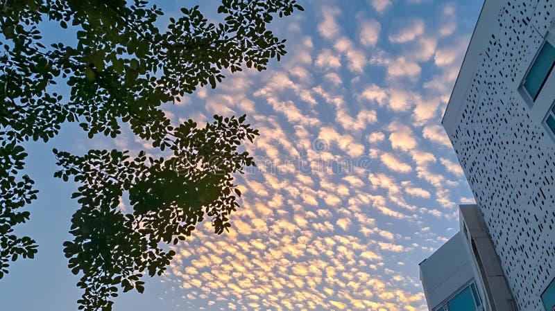 Stunning Sunset Sky with Cloud Patterns and Tree Royalty Free Image ...