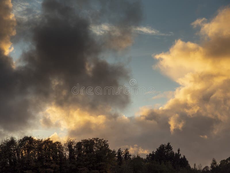 Stunning Sunset Sky Over a Forest Silhouette. Warm and Blue Colors ...