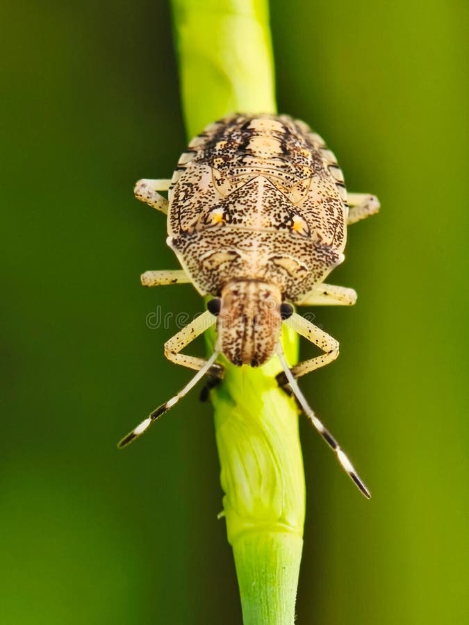 A Top-down Macro View of a Piece of Paper Covered in Black Laser ...