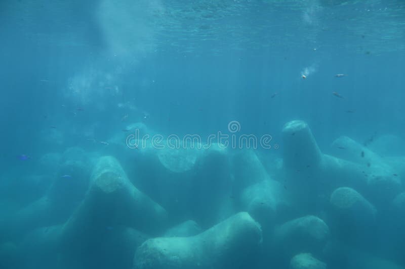 Stunning Underwater Scene Ocean Floor Rocks Stock Photos - Free ...