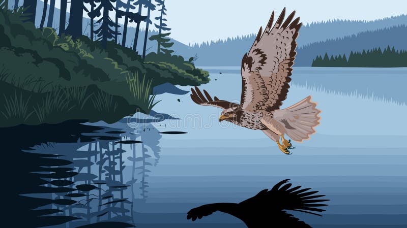 Majestic Hawk Soaring Over Tranquil Waters in a Forested Landscape ...