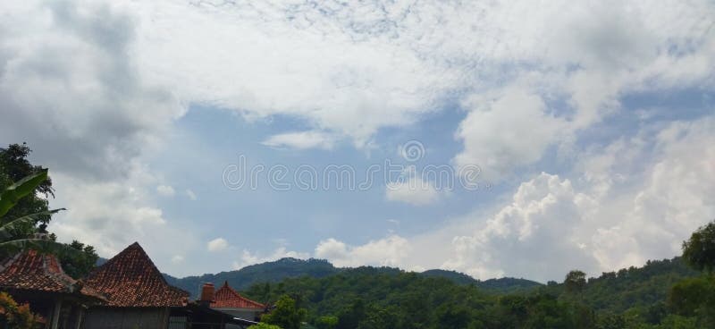 A Stunning View of a Dense Forest Stock Photo - Image of dense, tree ...