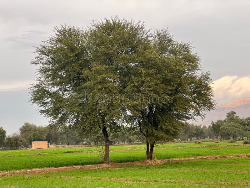 Kacha Road Stock Photos - Free & Royalty-Free Stock Photos from Dreamstime