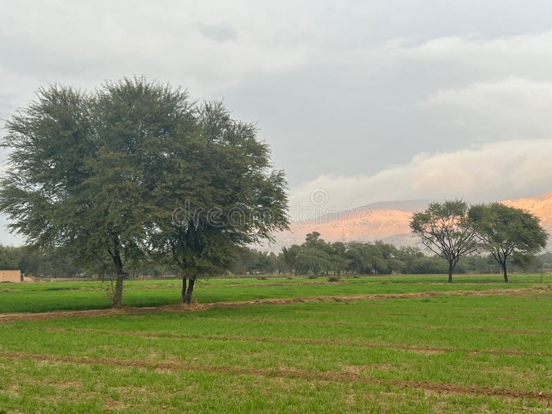 Stunning View of a Mianwali Thathi Kacha Landscape Stock Image - Image ...