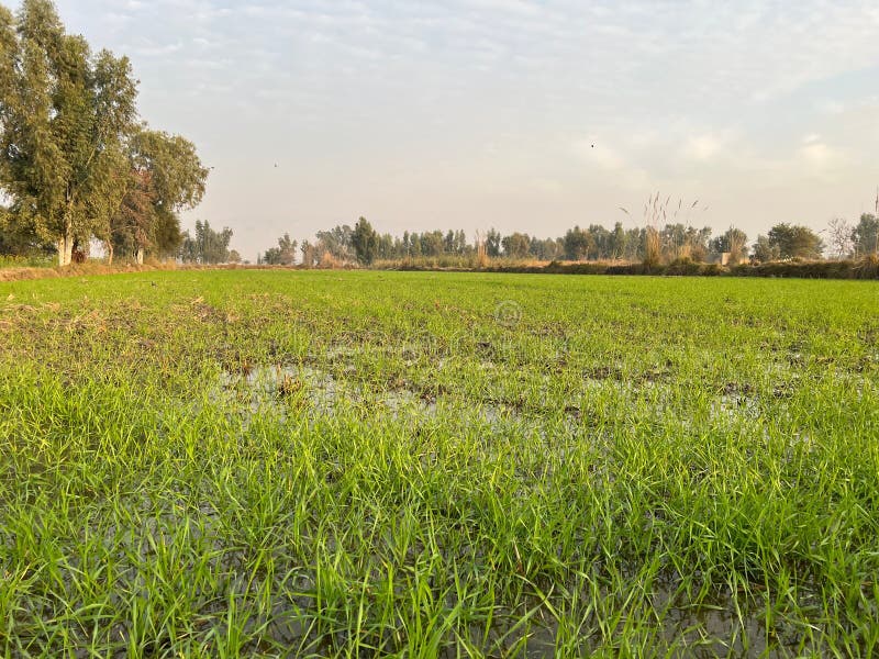 Kacha Road Stock Photos - Free & Royalty-Free Stock Photos from Dreamstime