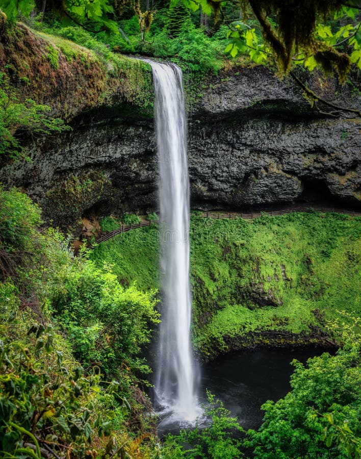 Stunning View of a Tall Waterfall Cascading into a Lush Green Forested ...
