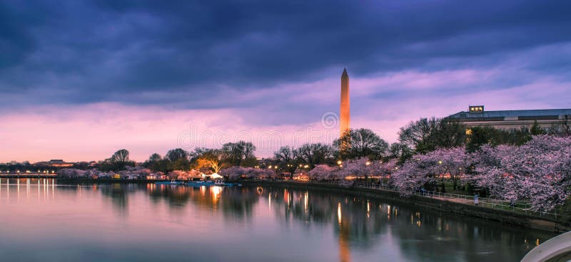 Stunning View of the Washington Monument Illuminated by the Setting Sun ...