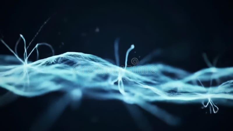 Stunning Visual Display of Flowing Light Strands in Abstract Artistic ...
