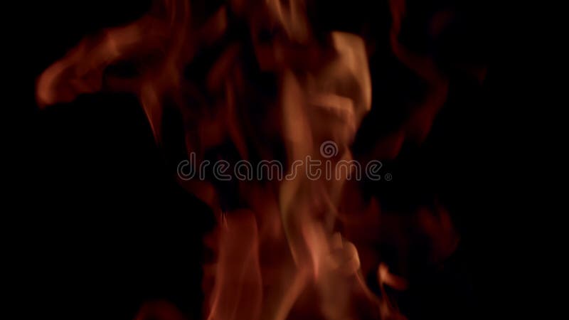 Dynamic Flames in Motion Captivating Fire Visuals that Ignite the ...