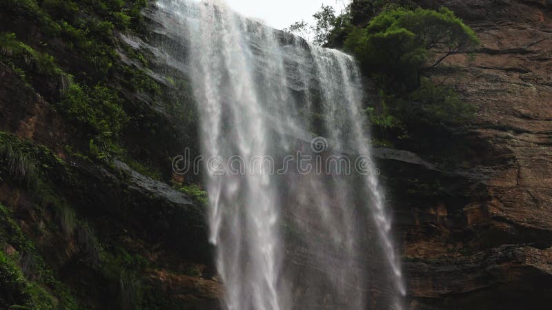 A Stunning Waterfall Cascades Down a Steep Cliff into a Lush Forest ...