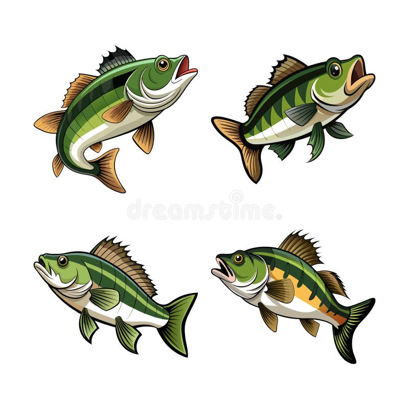 Stunning Wild Bass Fish Realistic Aquatic Display Stock Vector ...