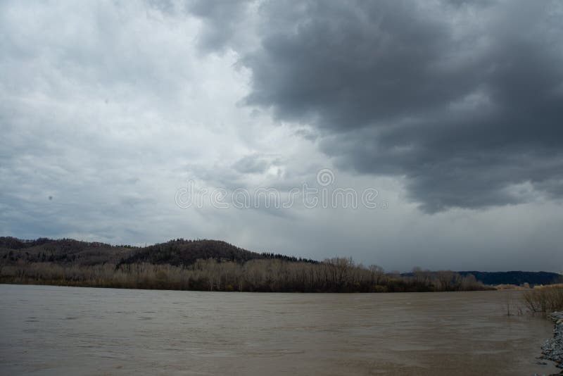 Stunning Wildlife in Early Spring on the Riverbank Stock Image - Image ...