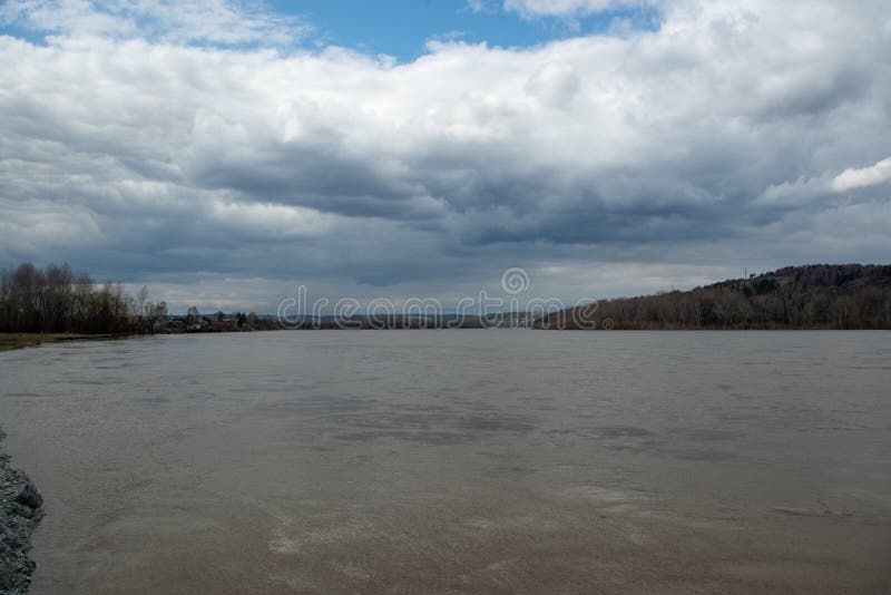 Stunning Wildlife in Early Spring on the Riverbank Stock Image - Image ...