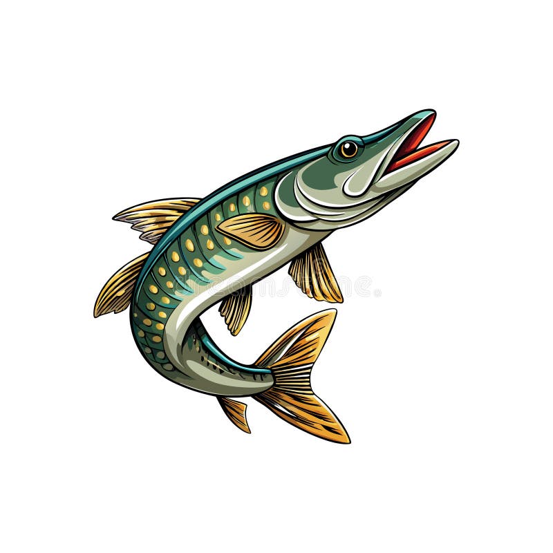 Stunning Wingback Pike Fish Realistic Artwork Stock Illustration ...