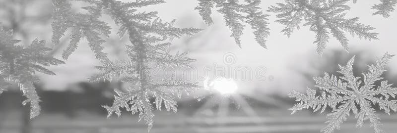 Stunning Winter Frost Patterns on Window Pane Subtle Sunrise Background ...
