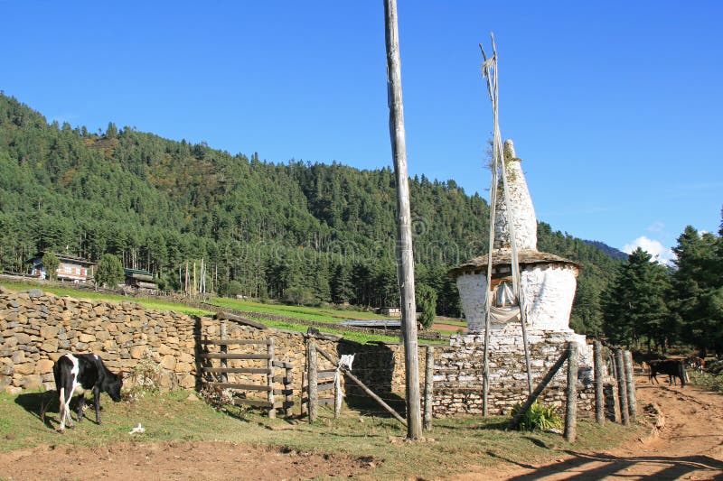 Stupa at the Phobjikha Valley (bhutan) Stock Photo - Image of animal ...