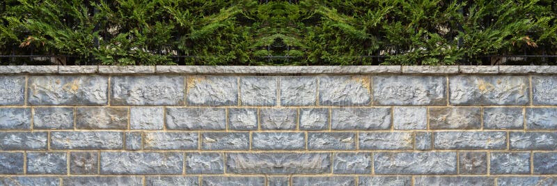Sturdy Blue and Gray Cut Stone Wall, Seamless Lined Up, Pine Trees on ...