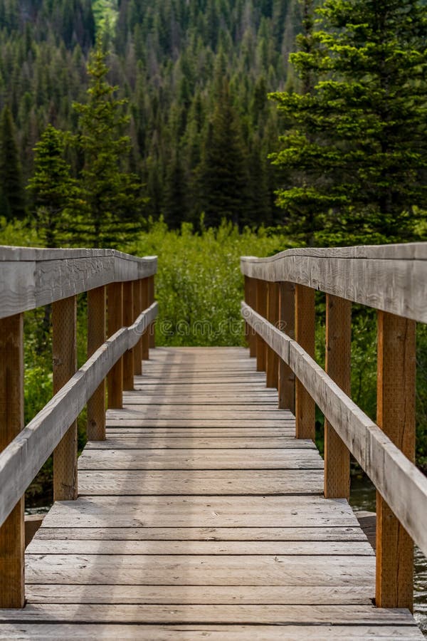 Sturdy Bridge Construction is Equipped with Concrete Poles on the Toll ...