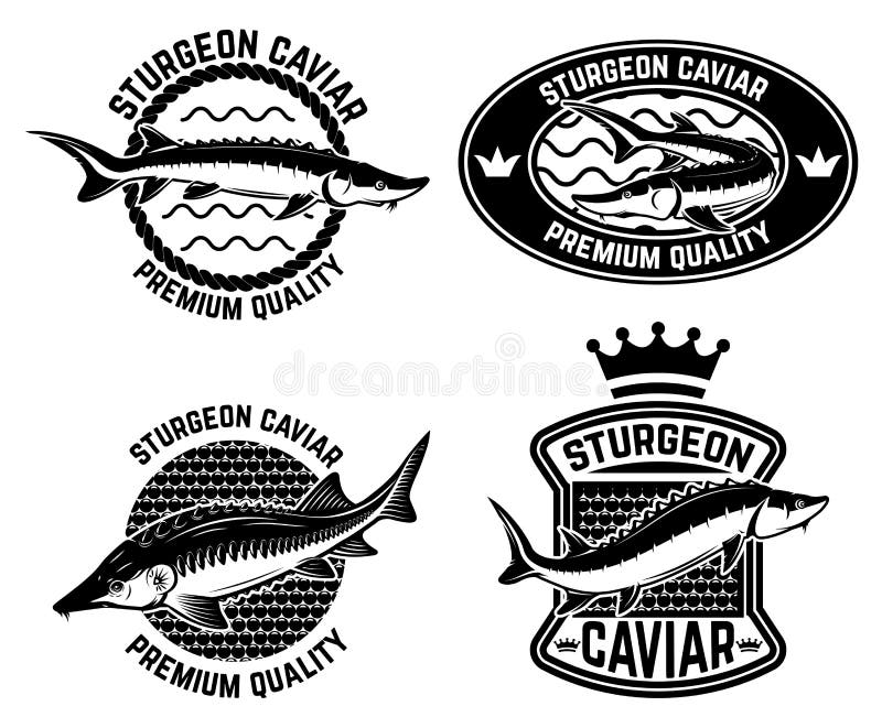 Cavia Logo Caviar Logo Stock Illustrations – 2,895 Caviar Logo Stock