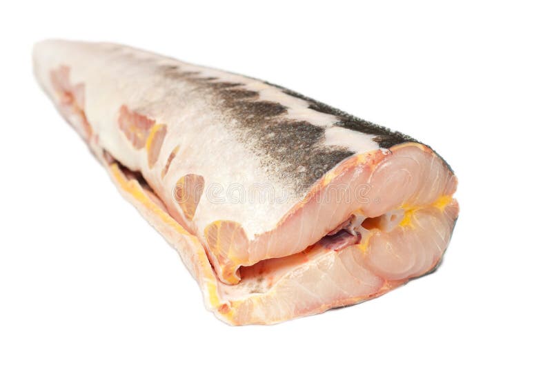 Sturgeon Meat Ready for Cooking. Stock Image - Image of meal, seafood ...